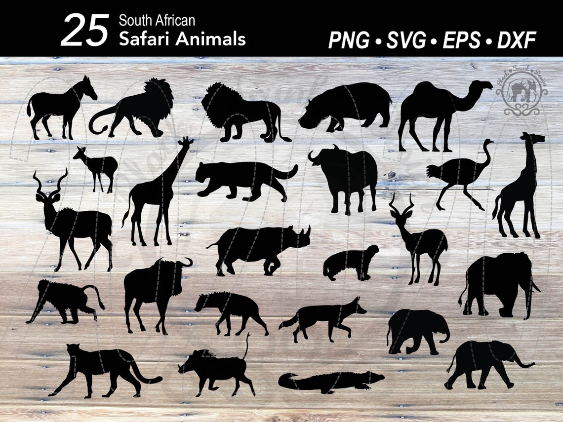 55 Safari Animal SVG Bundle Africa Animal Silhouettes Baby Elephant ...