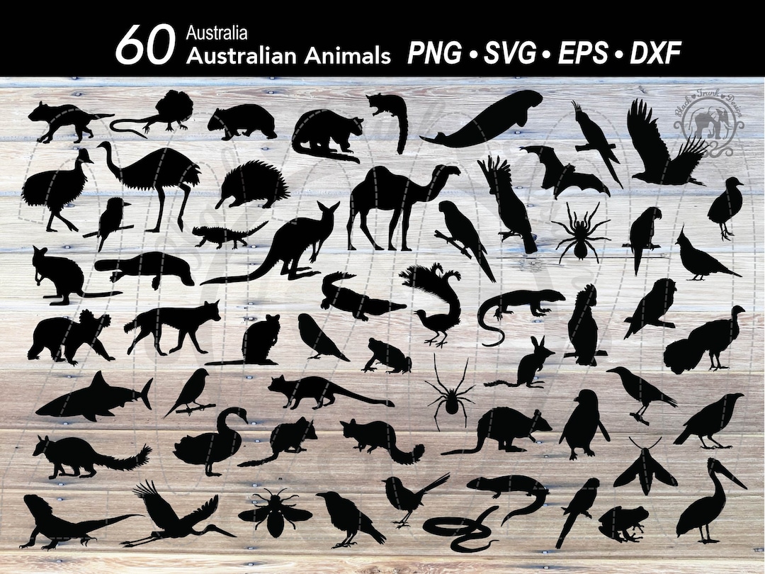 60 Australian Animal SVG Bundle Silhouette Australian Outback Stencil ...