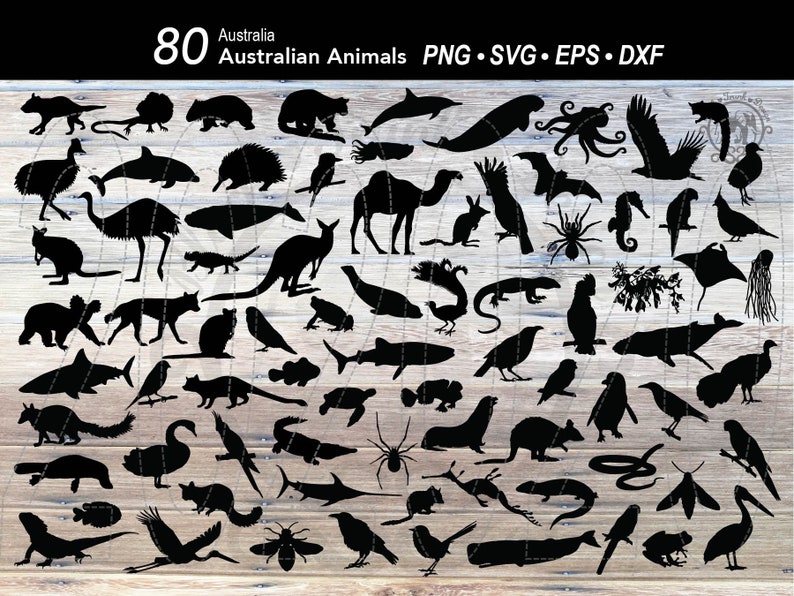 80 Australian Animal SVG Bundle Silhouette Australian Outback Stencil ...