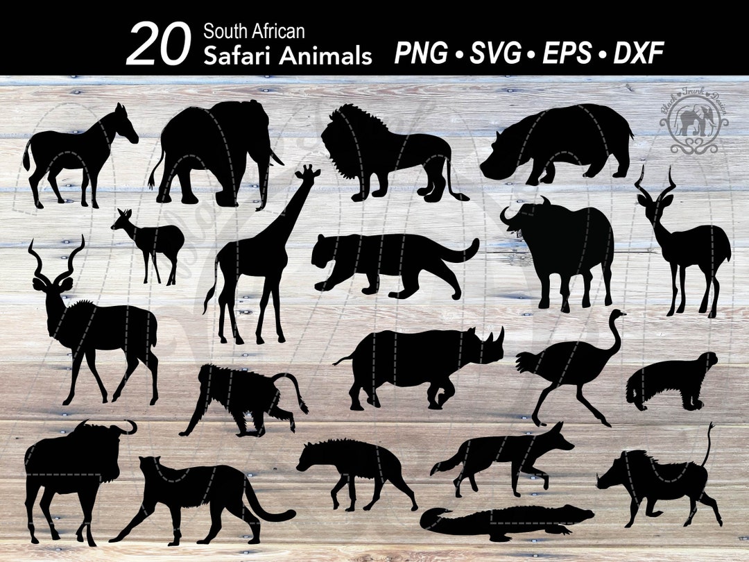 Safari Animal SVG Bundle South Africa Silhouettes |elephant|lion ...