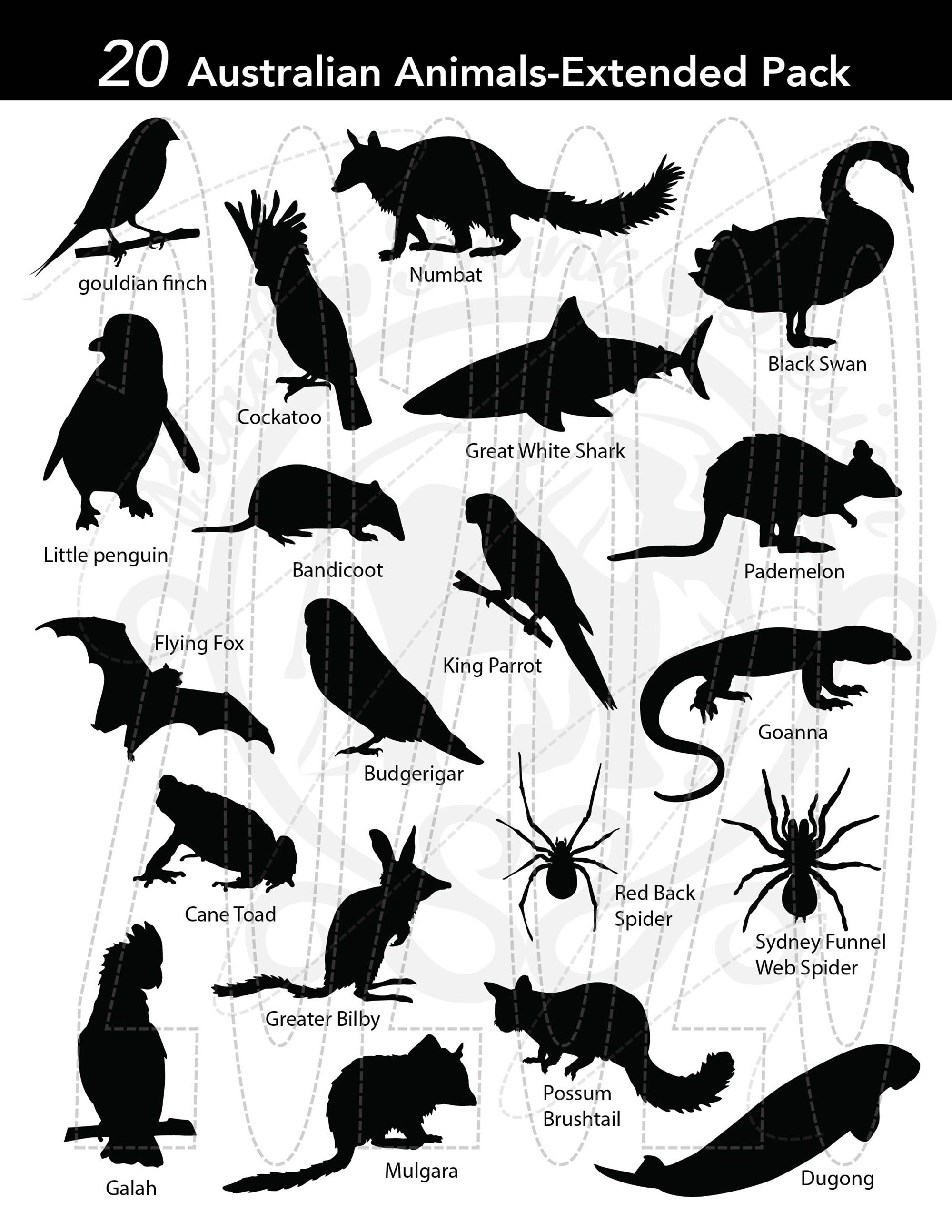 40 Australian Animal SVG Bundle - Etsy Australia