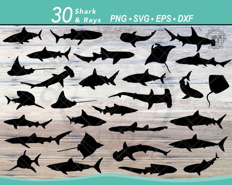 30 Shark & Ray SVG Bundle |hammerhead Shark Vector Silhouette, Great ...