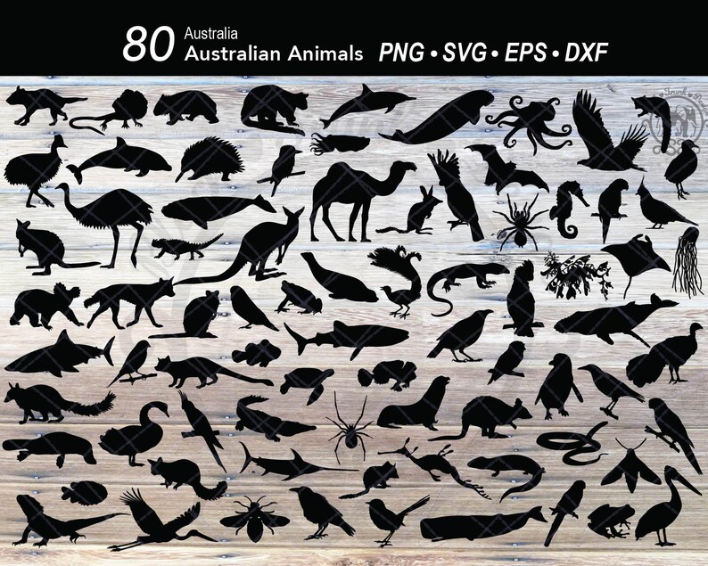80 Australian Animal SVG Bundle Silhouette | Australian Outback ...