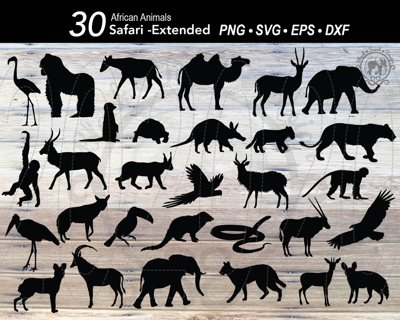 55 Safari Animal SVG Bundle Africa Animal Silhouettes Baby Elephant ...
