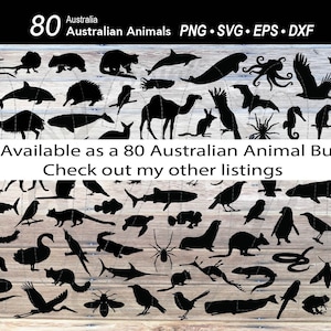 60 Australian Animal SVG Bundle Silhouette Australian Outback Stencil ...