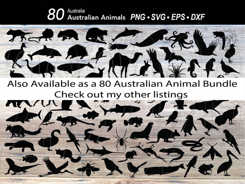 60 Australian Animal SVG Bundle Silhouette Australian Outback Stencil ...
