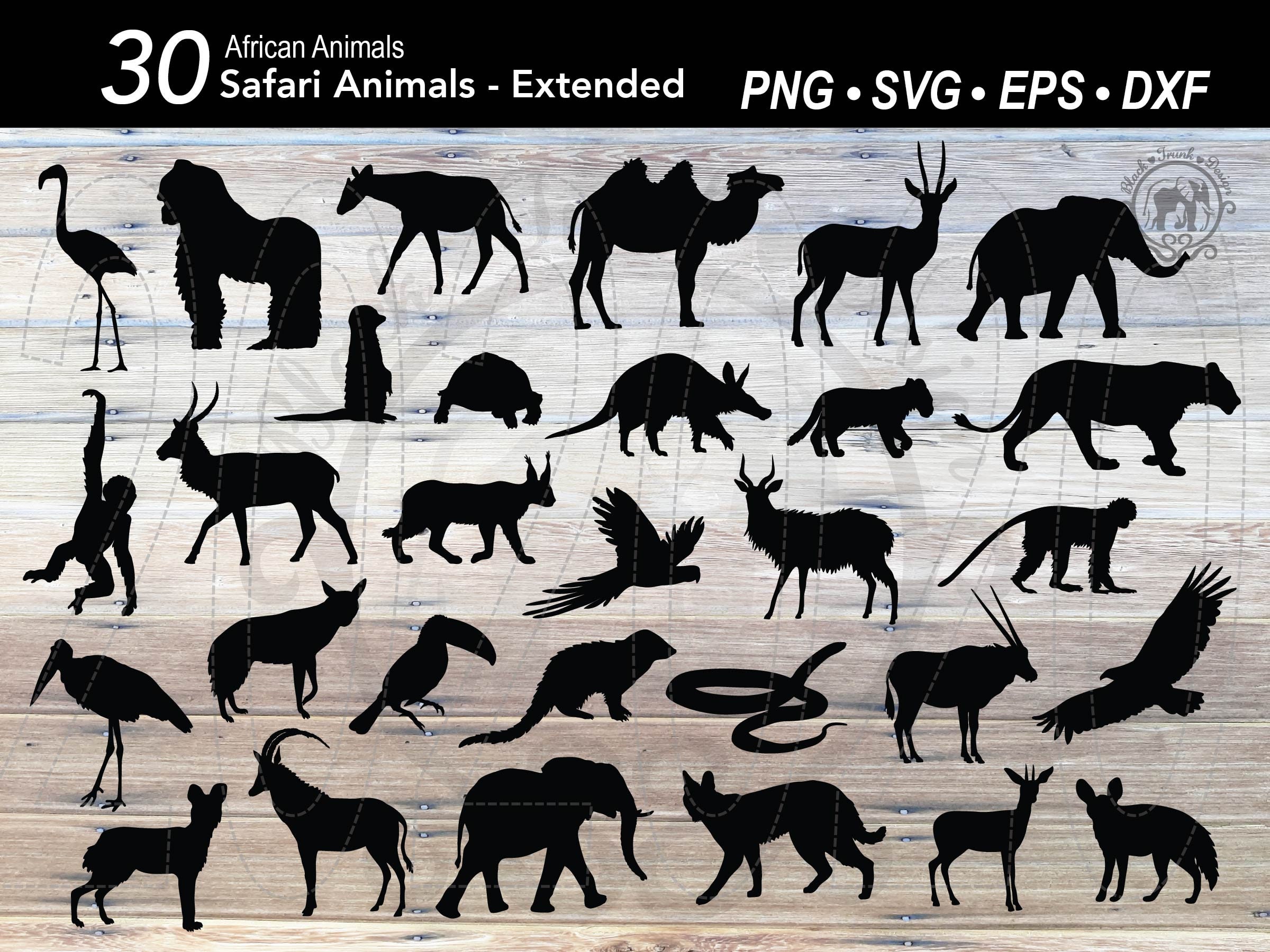 55 Safari Animal SVG Bundle Africa Animal Silhouettes Baby Elephant ...