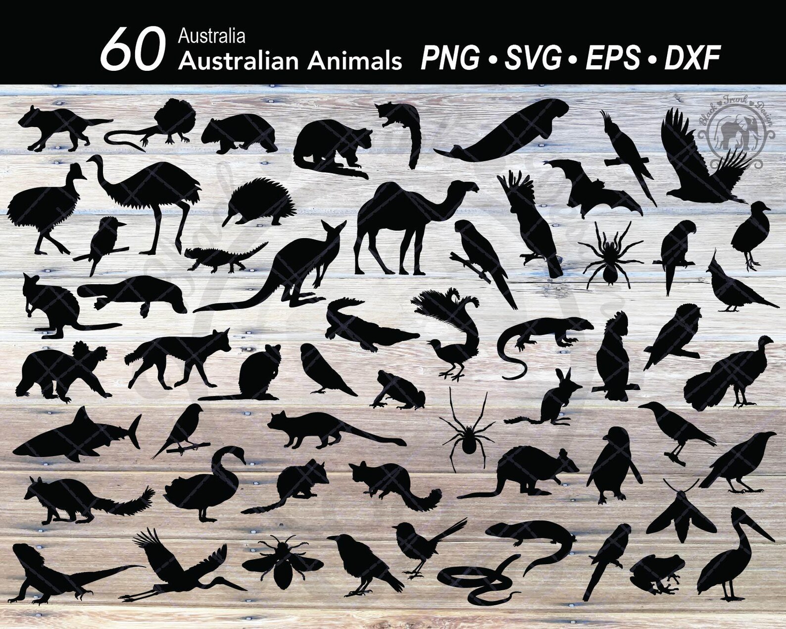 60 Australian Animal SVG Bundle Silhouette | Australian Outback ...
