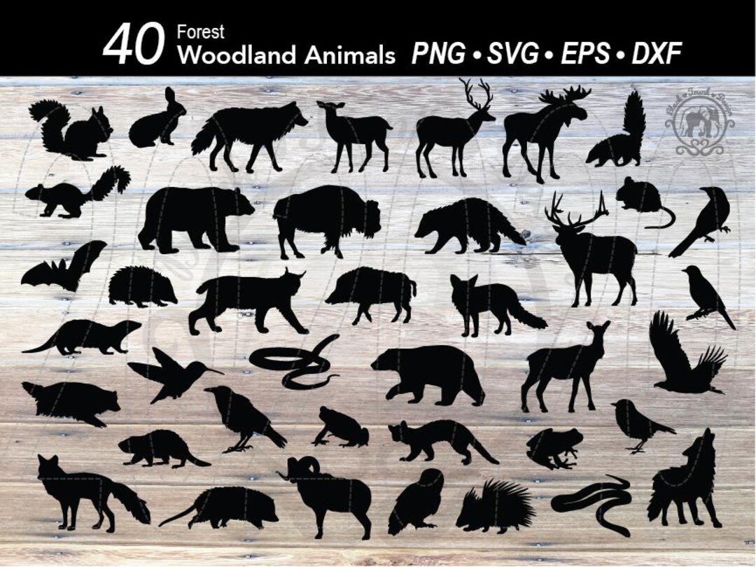 40 Forest Animal SVG Clipart Bundle | Woodland Animal Vector Silhouette ...