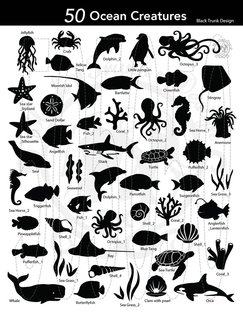 50 Ocean Animals SVG Bundle Fish Silhouettes Underwater Animal Clipart ...