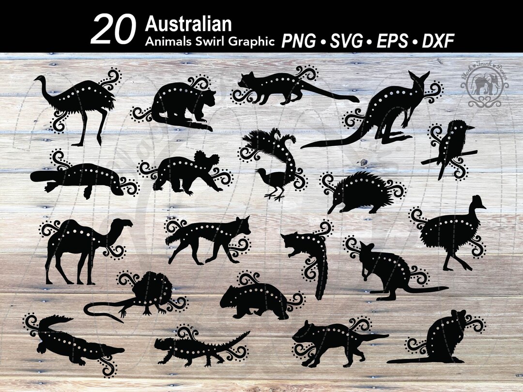 20 Australian Animal SVG Swirl Graphic Bundle Platypus Kangaroo ...