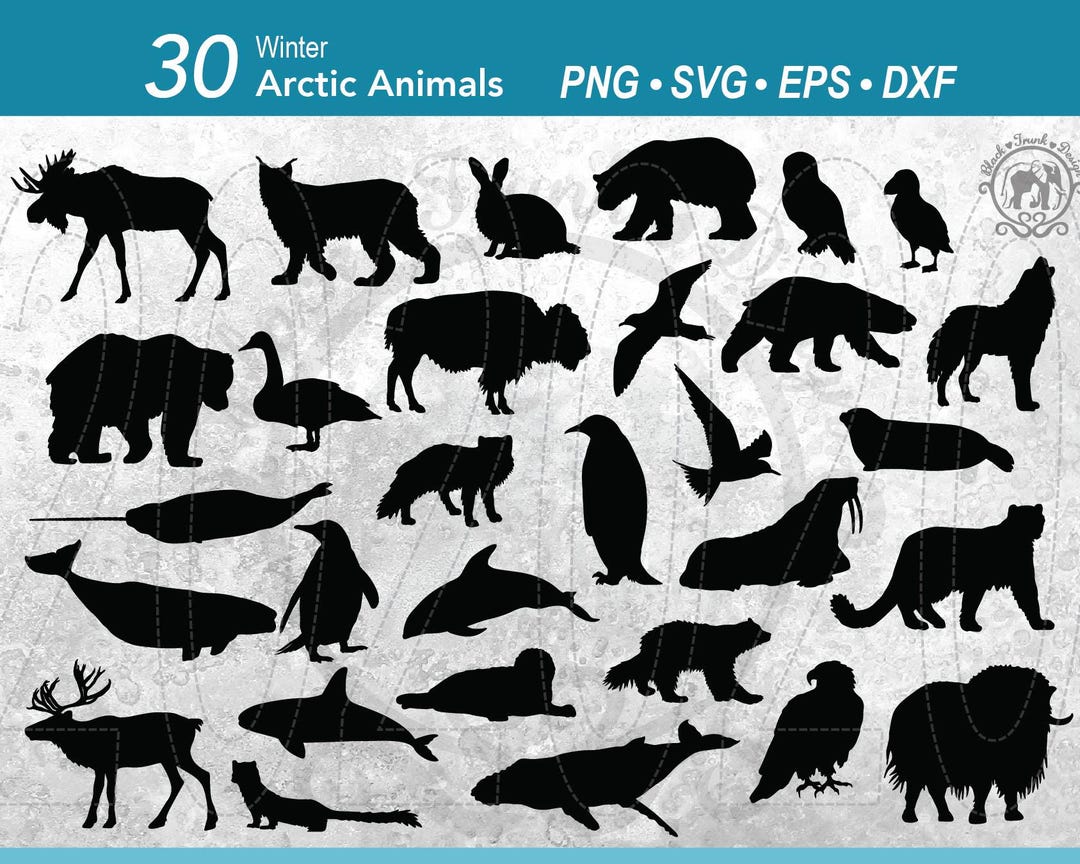 30 Arctic Winter Animal SVG Bundle Silhouette | White Snow Animals ...