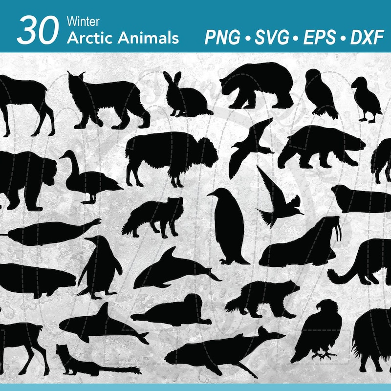 Arctic Animal Silhouette - Etsy