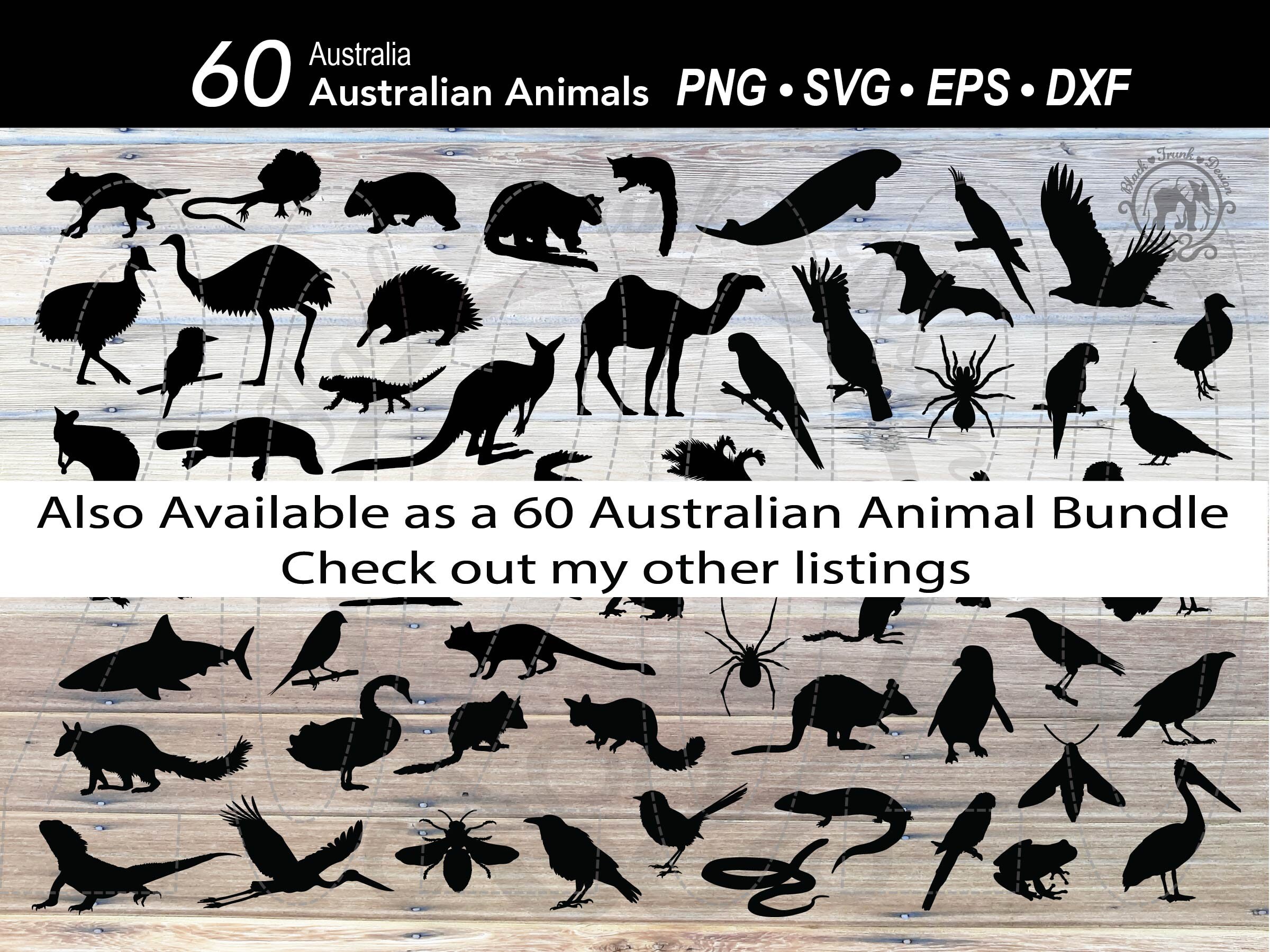 40 Australian Animal SVG Bundle - Etsy Australia