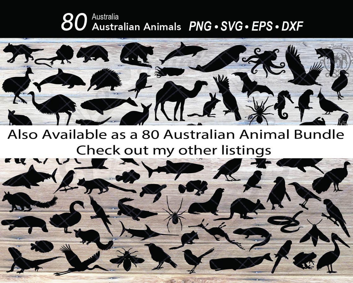 60 Australian Animal SVG Bundle Silhouette | Australian Outback ...