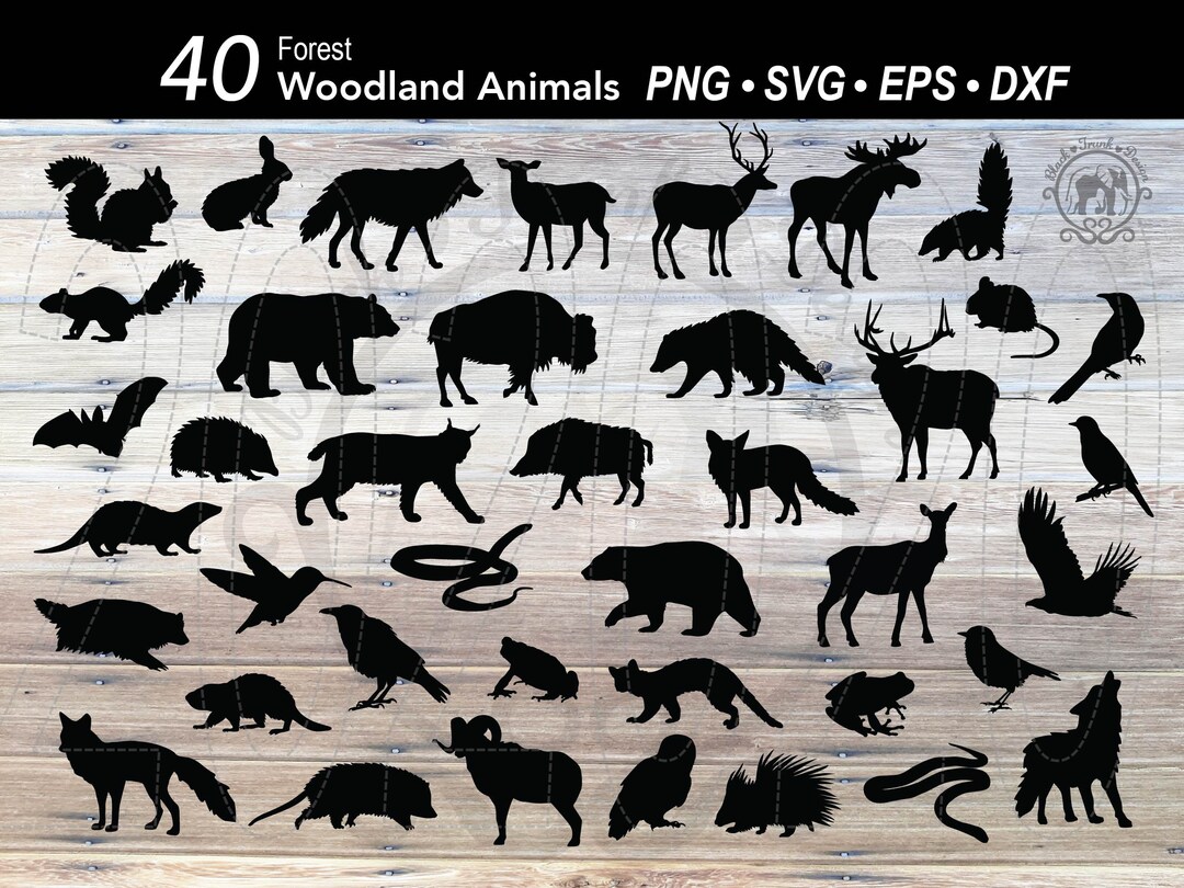40 Forest Woodland Animal SVG Bundle | Bear Silhouette | Deer | Elk ...