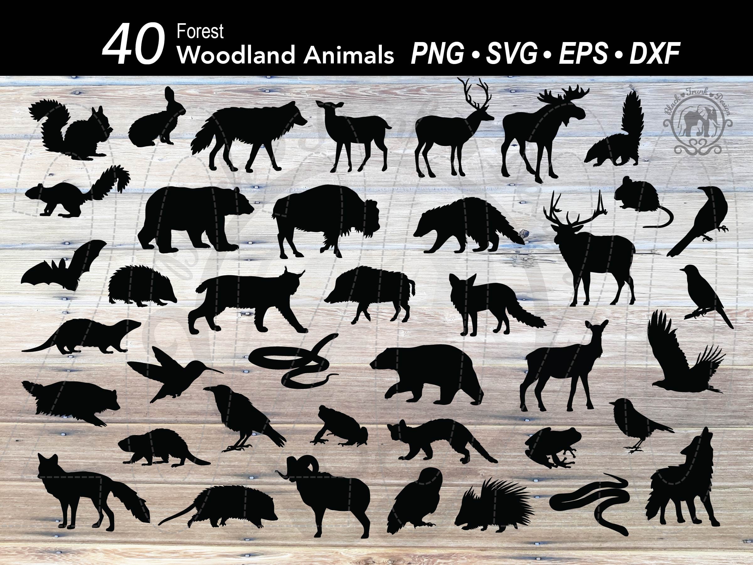 40 Forest Woodland Animal SVG Bundle | Bear Silhouette | Deer | Elk ...