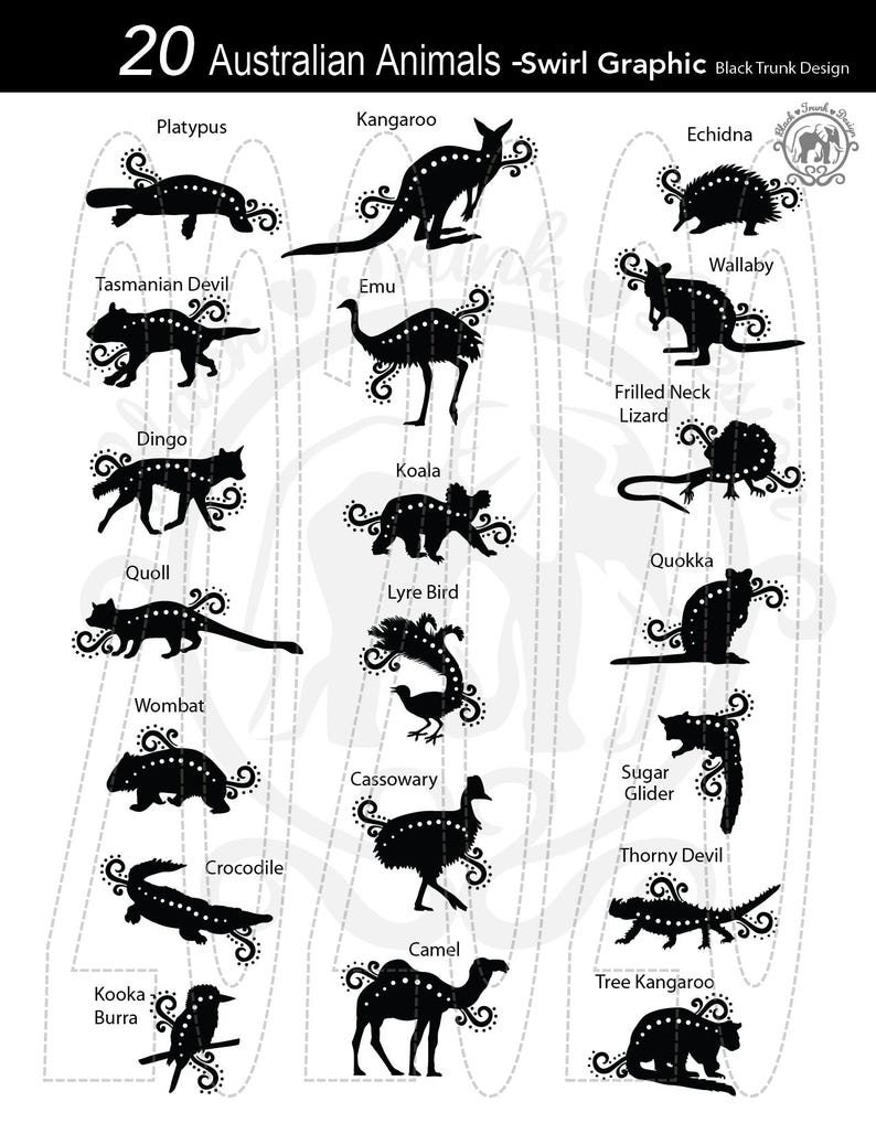 20 Australian Animal SVG Swirl Graphic Bundle | Platypus | Kangaroo ...