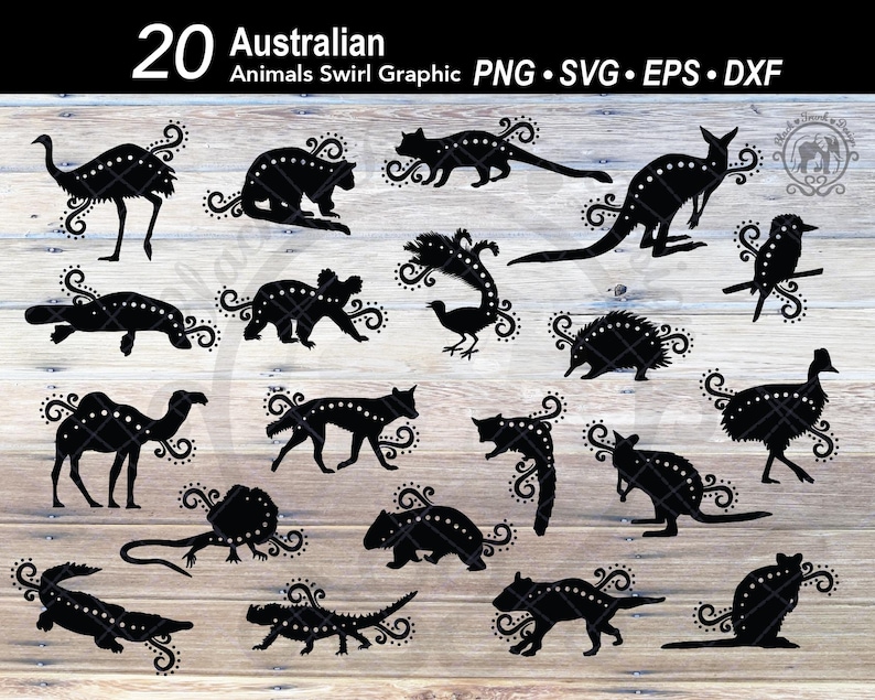 20 Australian Animal SVG Swirl Graphic Bundle | Platypus | Kangaroo ...