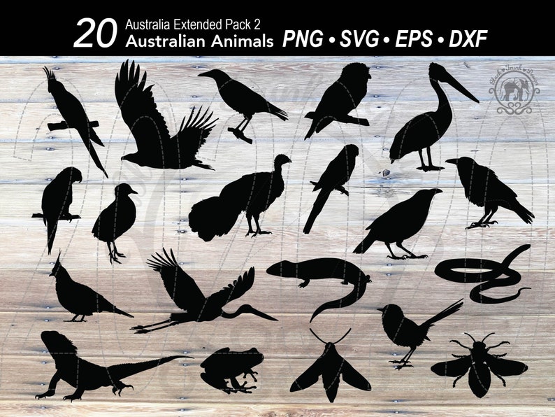 Australian Animal SVG Bundle Silhouette Cockatiel Pelican Raven Eagle ...