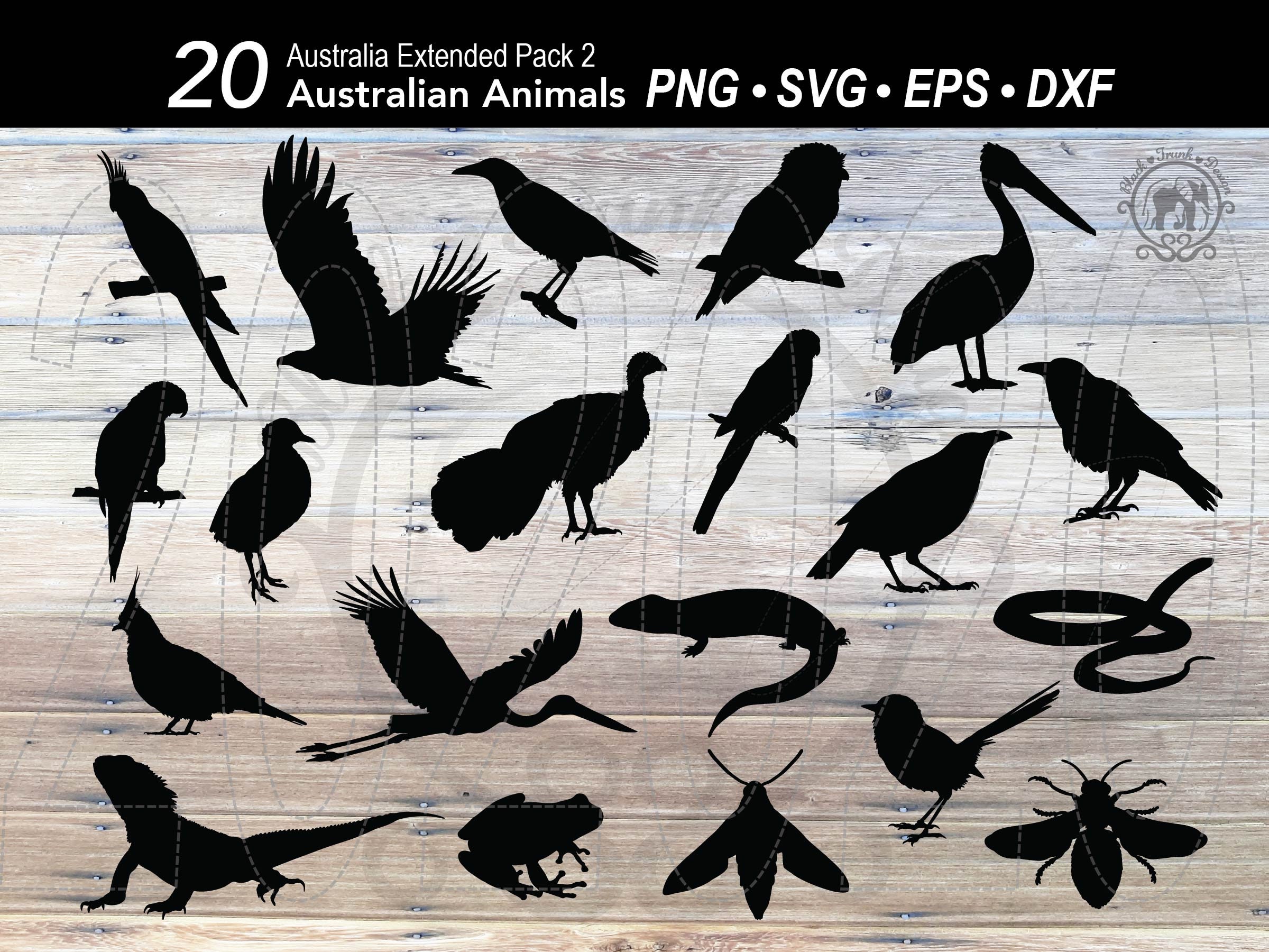 Australian Animal SVG Bundle Silhouette Cockatiel Pelican Raven Eagle ...