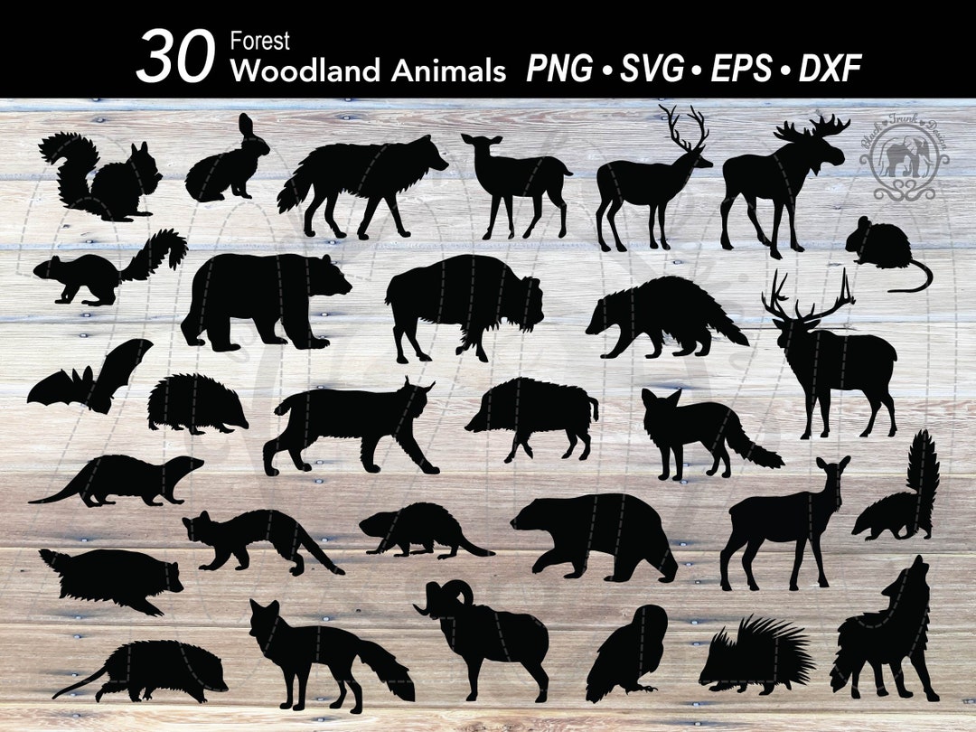 30 Forest Woodland Animal SVG Bundle Silhouette |bear|deer|elk|wolf|fox ...