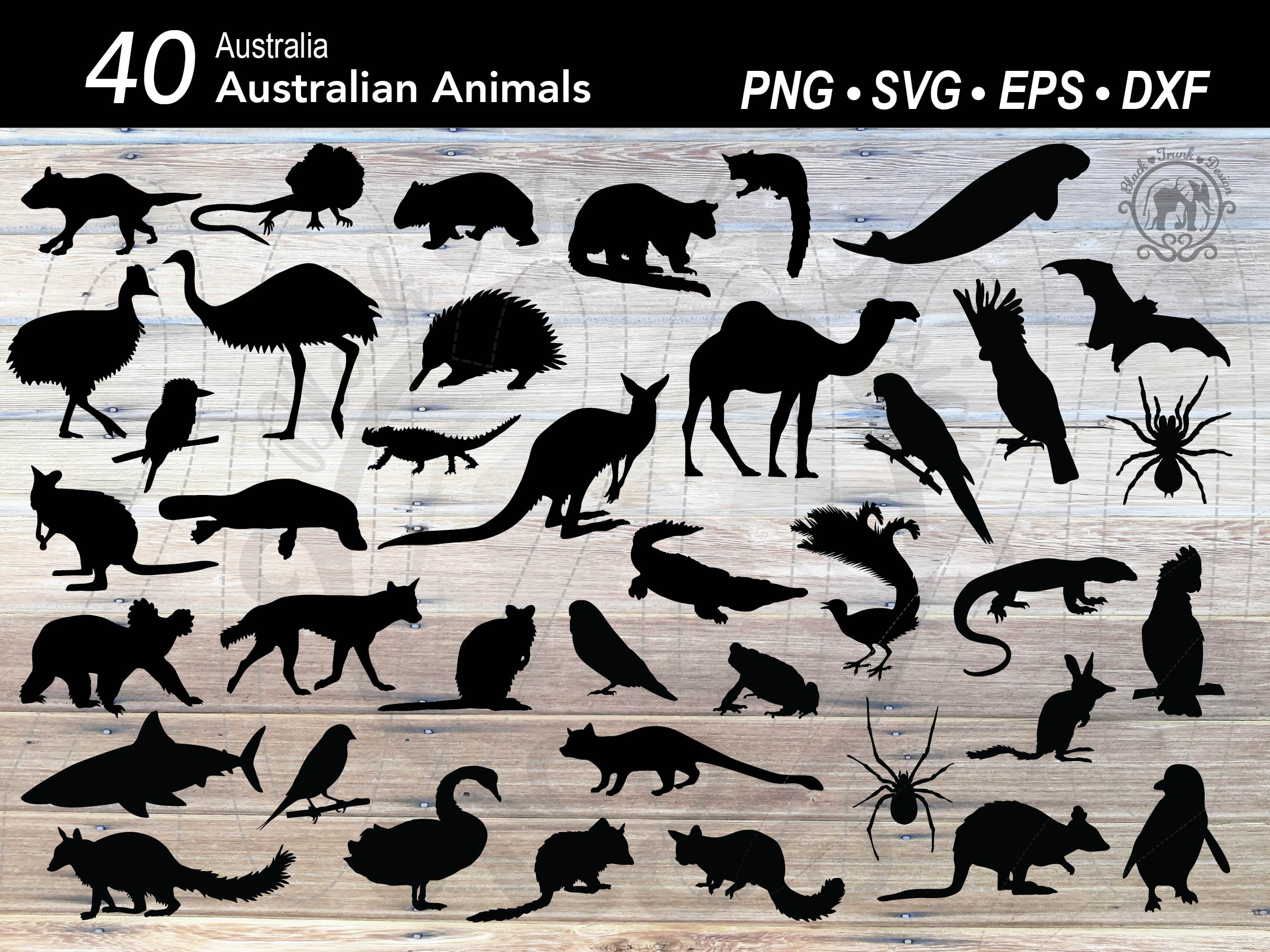 40 Australian Animal SVG Bundle - Etsy Australia