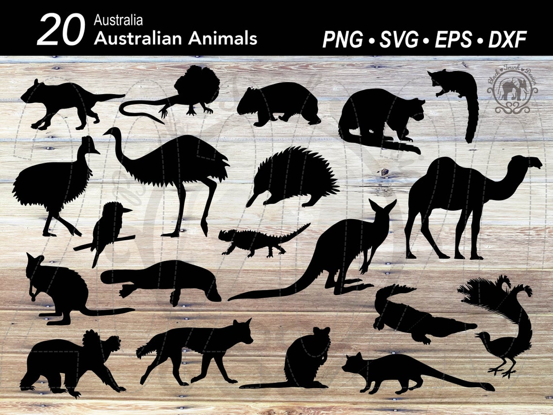 40 Australian Animal SVG Bundle - Etsy