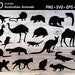 60 Australian Animal SVG Bundle Silhouette Australian Outback Stencil ...