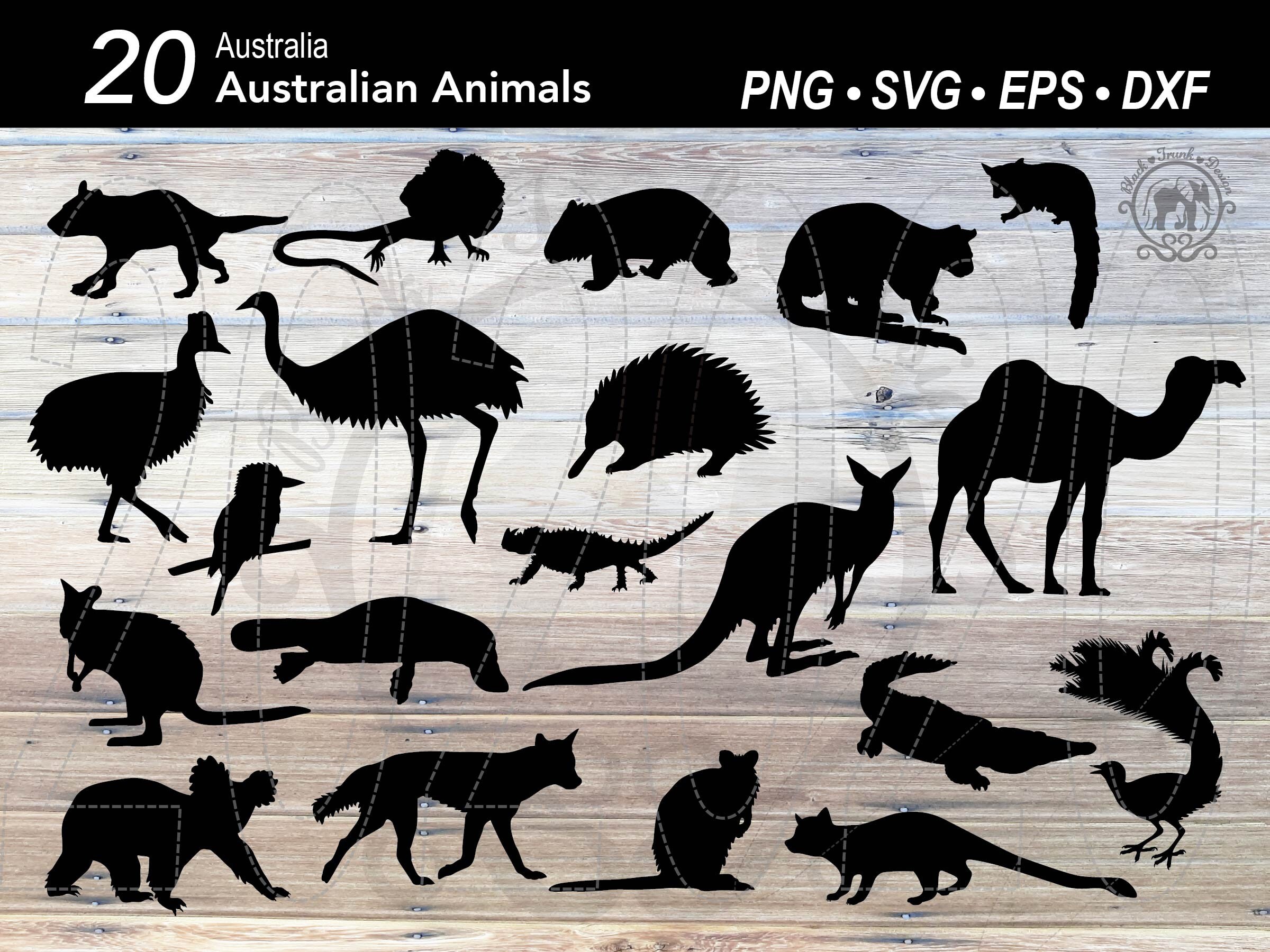 60 Australian Animal SVG Bundle Silhouette Australian Outback Stencil ...