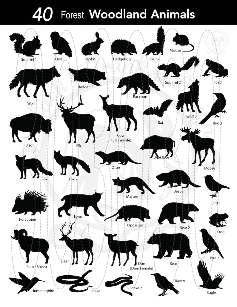 40 Forest Woodland Animal SVG Bundle | Bear Silhouette | Deer | Elk ...