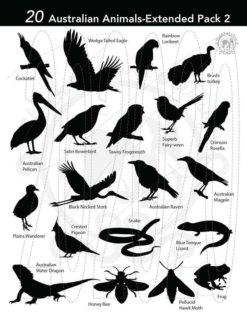 Australian Animal SVG Bundle Silhouette | Cockatiel | Pelican | Raven ...