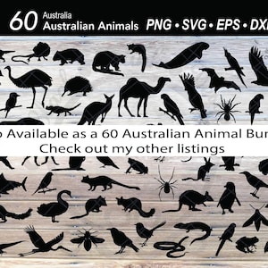 Australian Animal SVG Bundle Silhouettes |platypus | Kangaroo ...