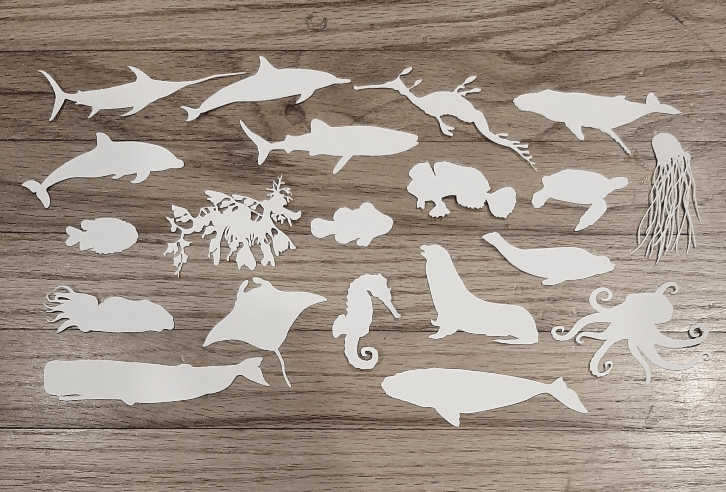 20 Australian Ocean Animals SVG Bundle | Sea Silhouette | Ocean Cut ...