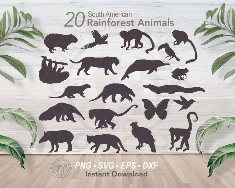 20 South American Rainforest Animal SVG Bundle | Jungle Wild Animal ...