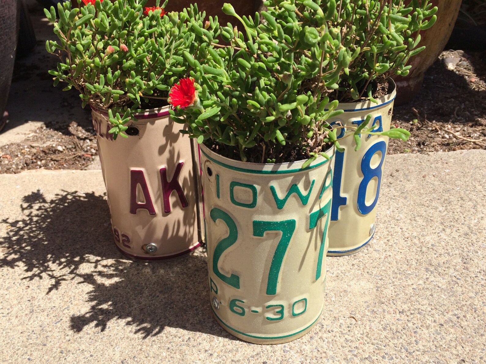License Plate Planter Random State Handmade From Vintage - Etsy