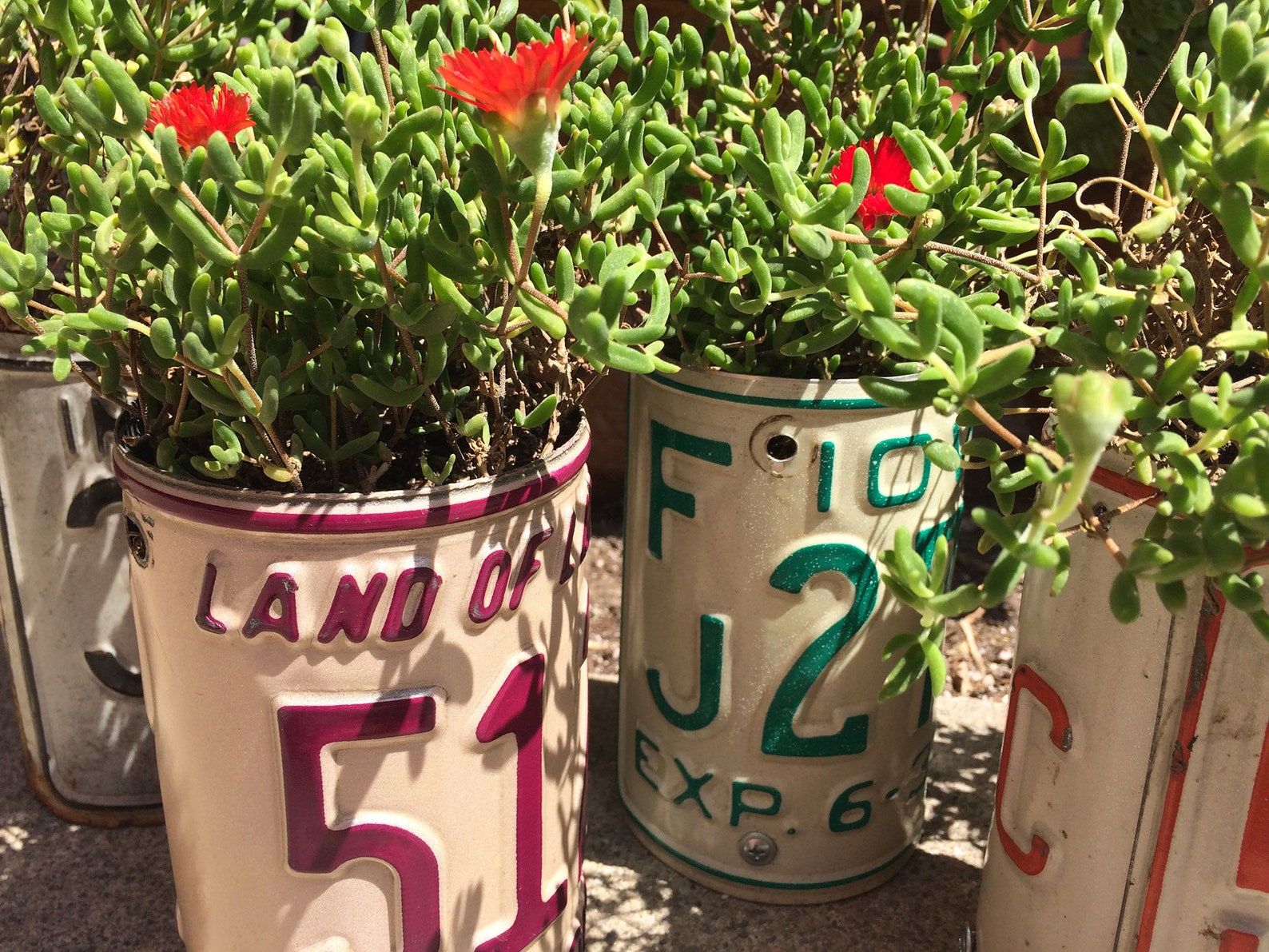 License Plate Planter Random State Handmade From Vintage - Etsy