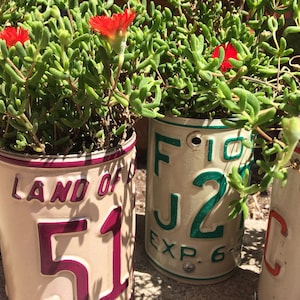 License Plate Planter, Random State, Handmade From Vintage American ...