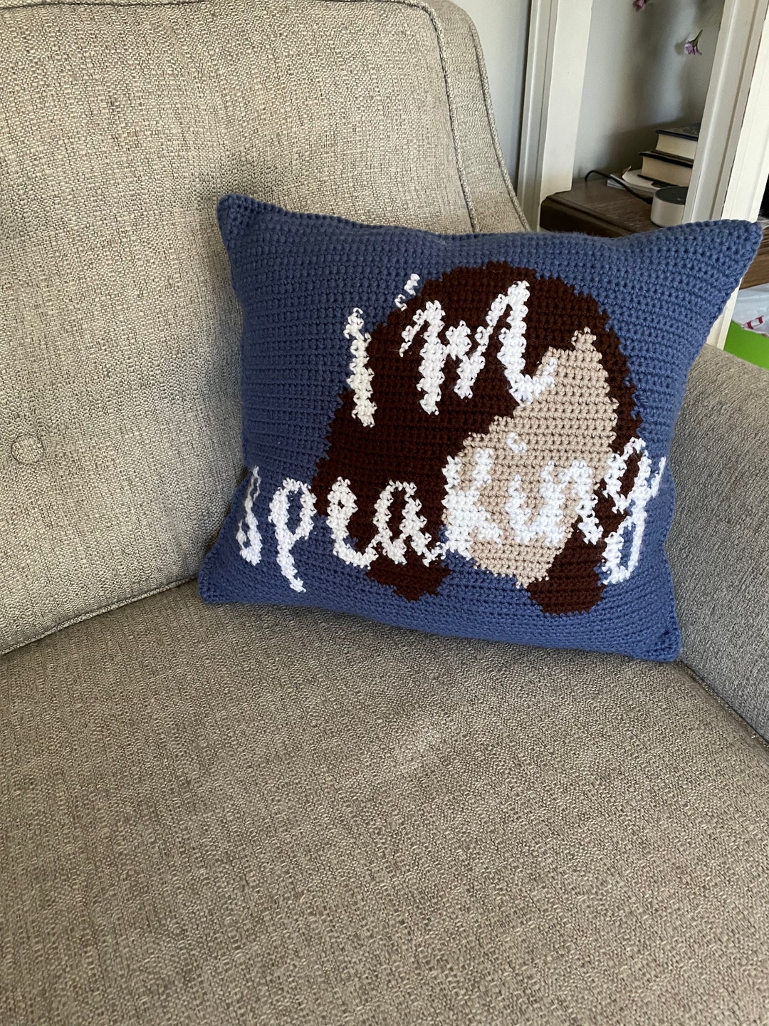CROCHET PATTERN- Madame President Pillow, Kamala Harris Pillow, I’m ...