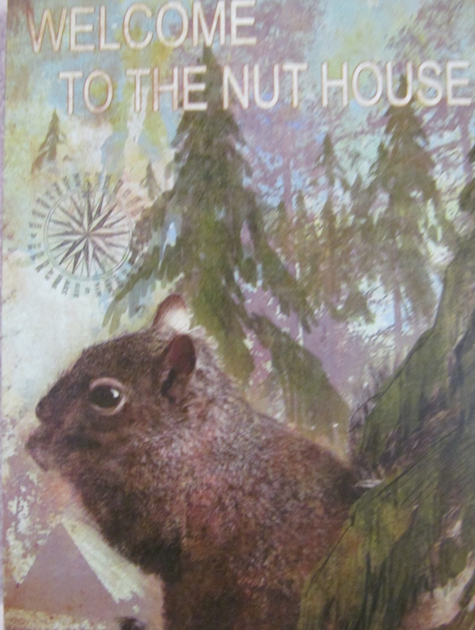 Welcome to the Nut House Rustic Cabin Decor Coat Hook Hat Holder ...