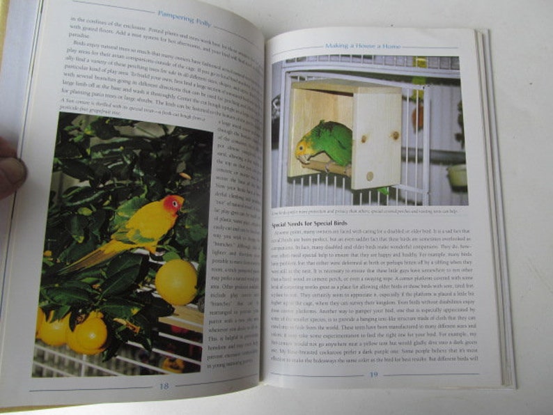 Pampering Polly Parrots Book Guide to Parrots How to Train - Etsy