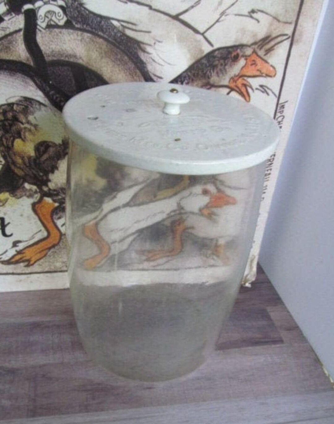 Rare Thomas Edison Battery Glass B S C O Thomas A Edison Barrel Shaped ...