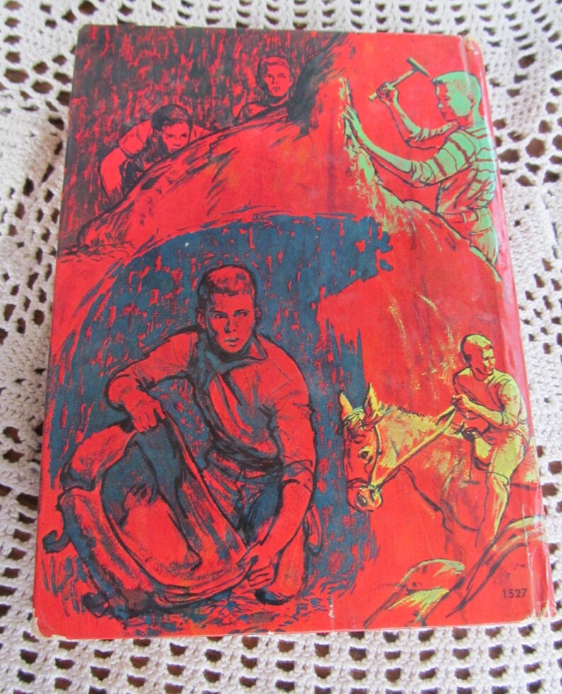 The Forest Fire Mystery Book Childrens Vintage Book by Troy - Etsy