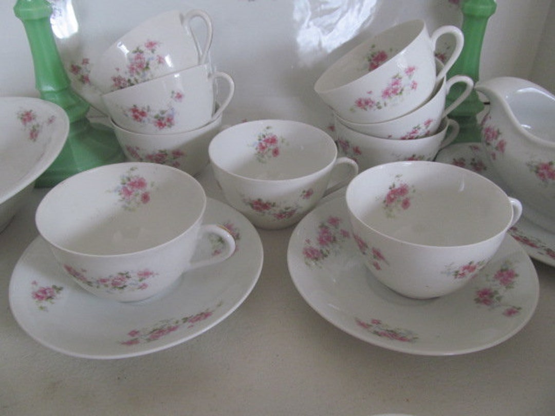 Tea Cups and Saucers Austria Bristol Pattern China Adolf Persch Tea ...