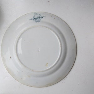 1800s Detailed Antique Oriental Flow Blue Plates Flow Blue Plate B & H ...