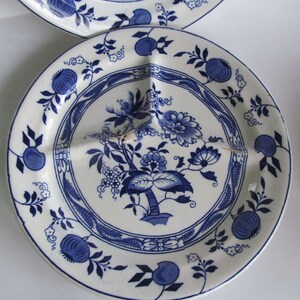 Pr Blue Danube Grill Plates Blue Onion Plates Blue Onion Pattern Blue ...