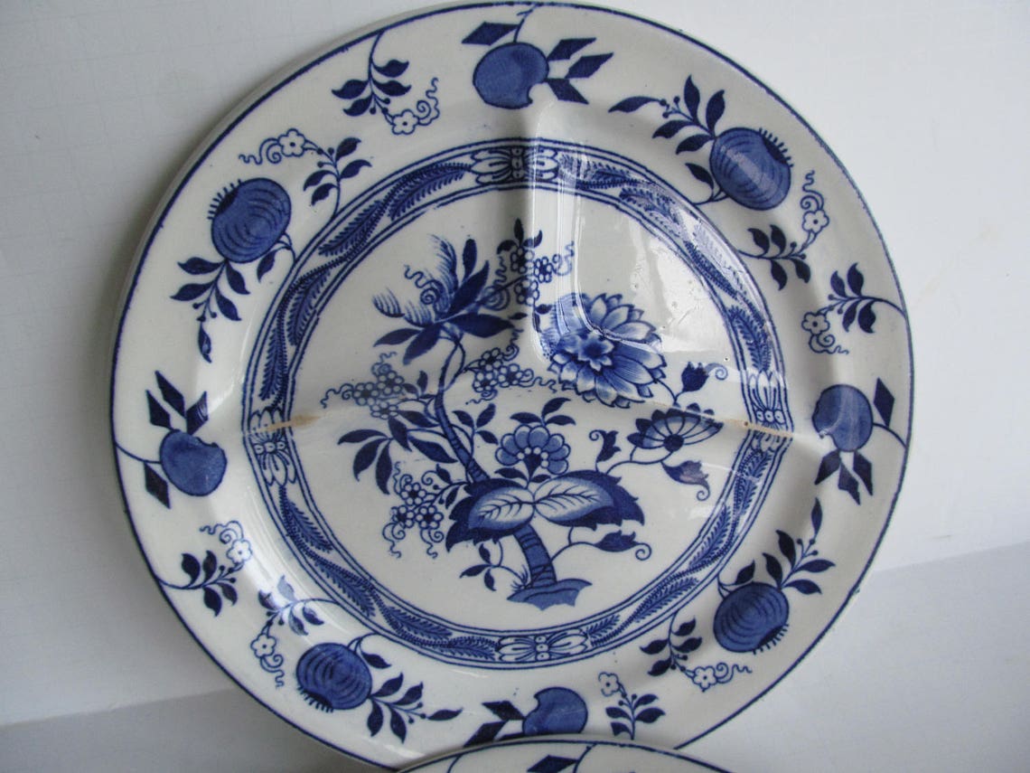 Pr Blue Danube Grill Plates Blue Onion Plates Blue Onion - Etsy
