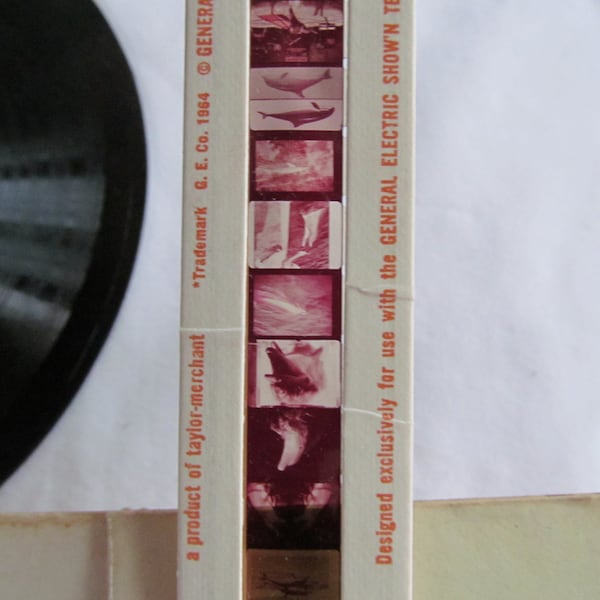 Show and Tell Record Player - Etsy