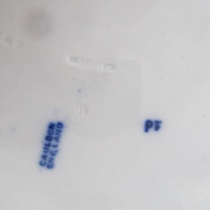 Cauldon England Birds Flow Blue China Flow Blue Aesthetic Blue and ...