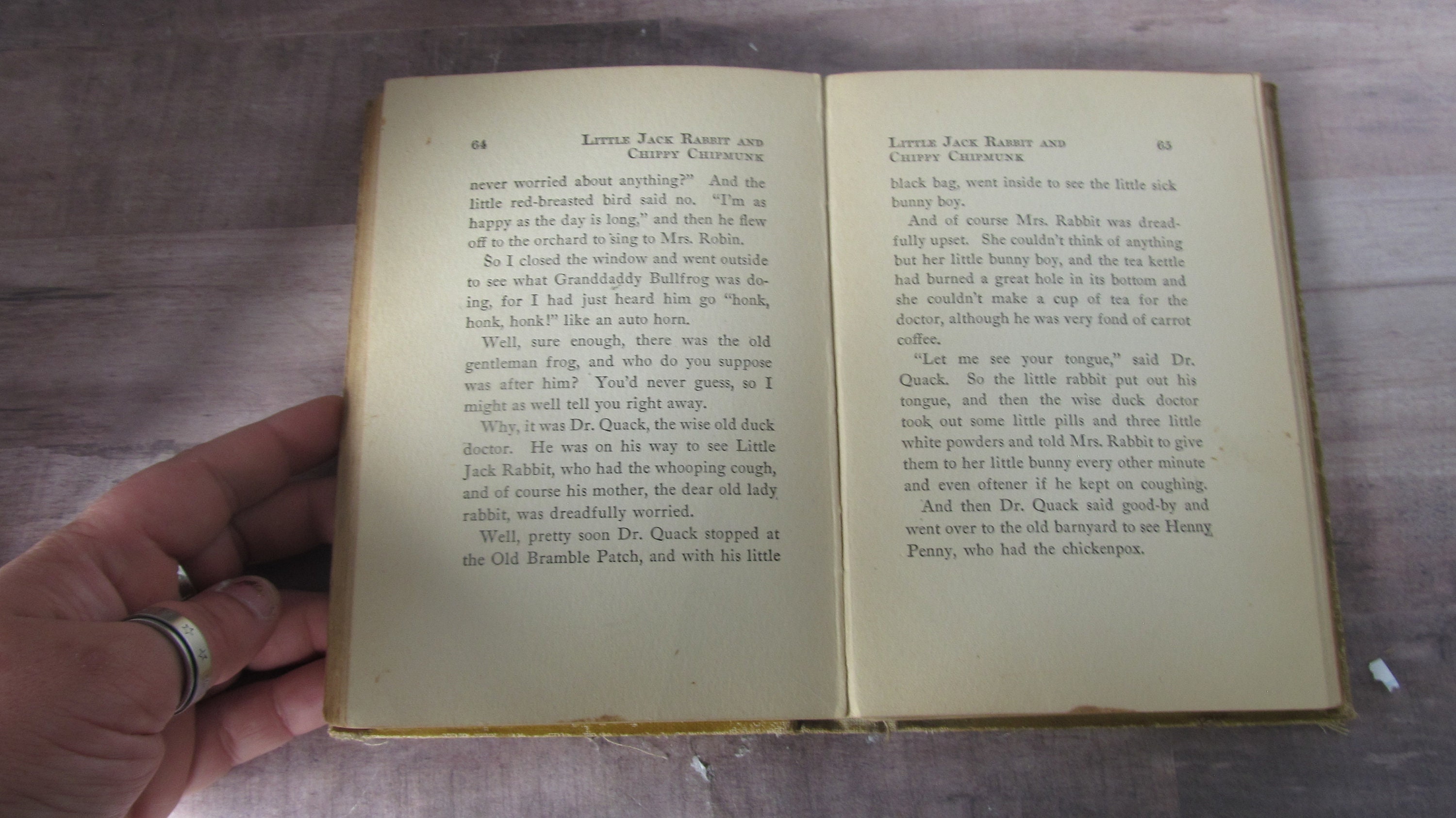 Little Jack Rabbit and Chippy Chipmunk Childrens Storybook, Antique ...